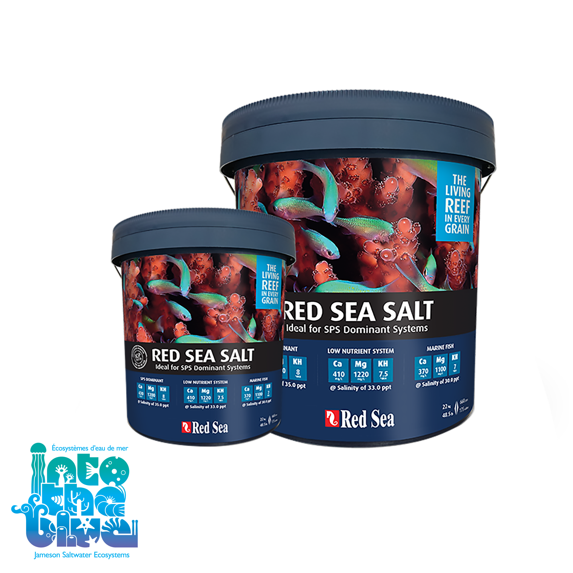 Red Sea - Salt Basic